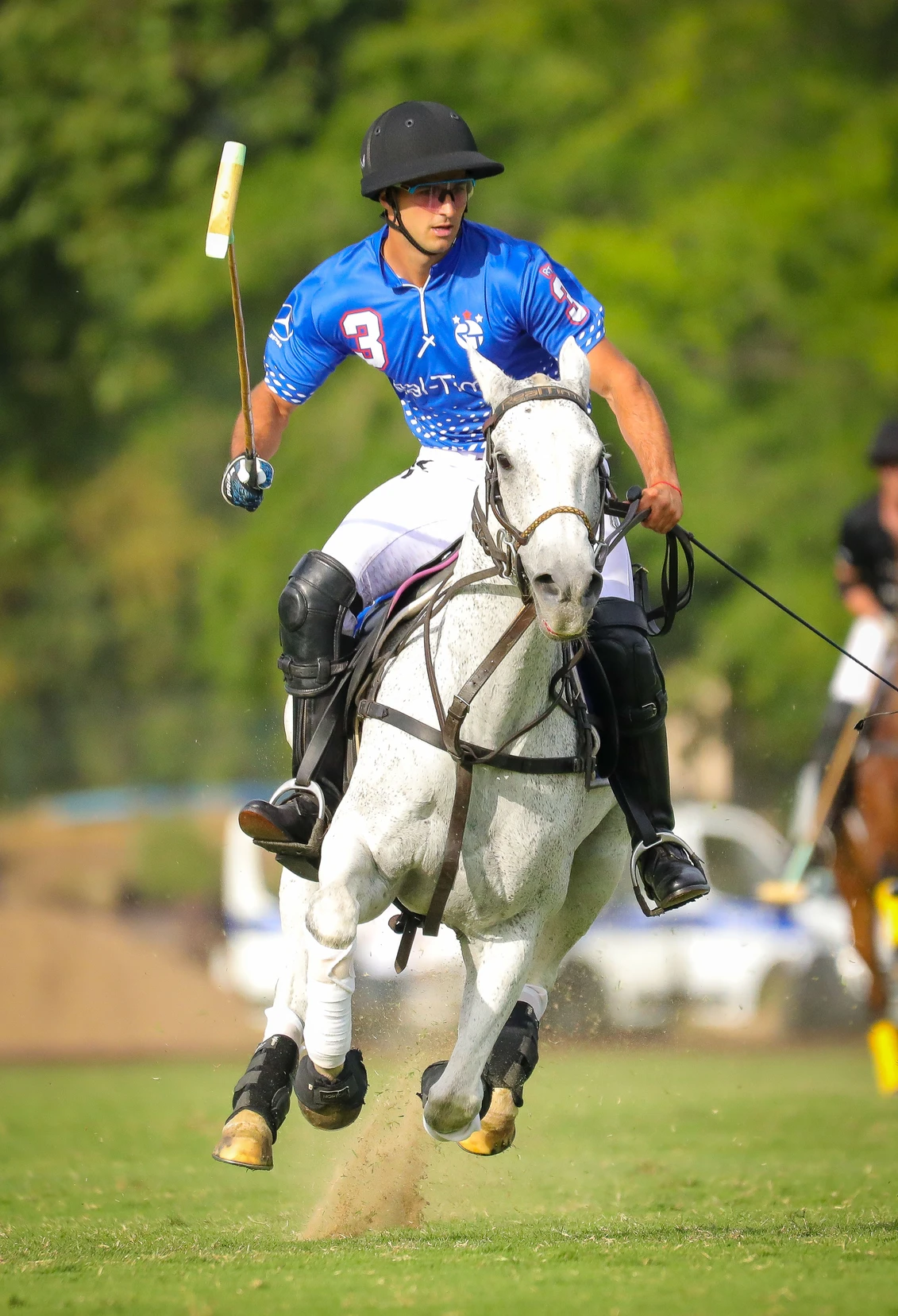 El Lima Polo Jumping Tour regresa con emocionantes competencias ...